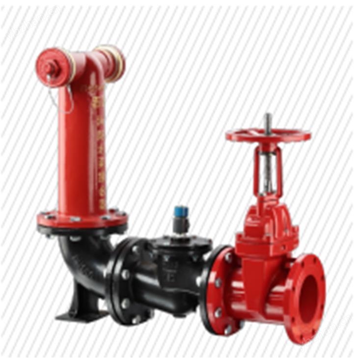 SQS100-1.6 吉龙地上式水泵接合器-仪表网